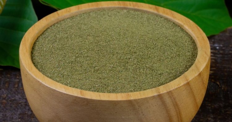The Difference Between Kratom Powder and Capsules: The Pros and Cons